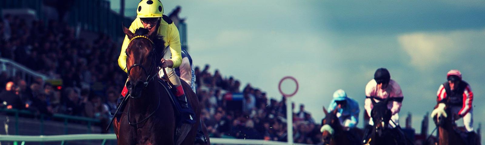 Festival Of Racing | Racing Highlights | Brighton Racecourse