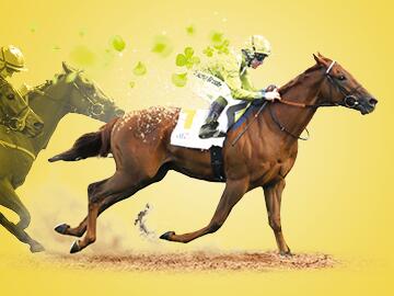 Brighton Races | Brighton Racecourse