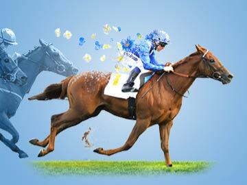 Brighton Races | Brighton Racecourse