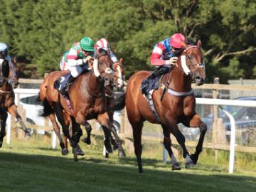 Brighton Races | Brighton Racecourse