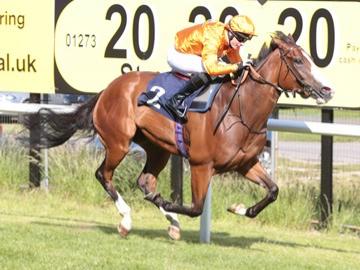 Brighton Races | Brighton Racecourse