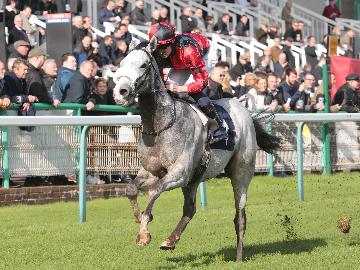 Brighton Races | Brighton Racecourse