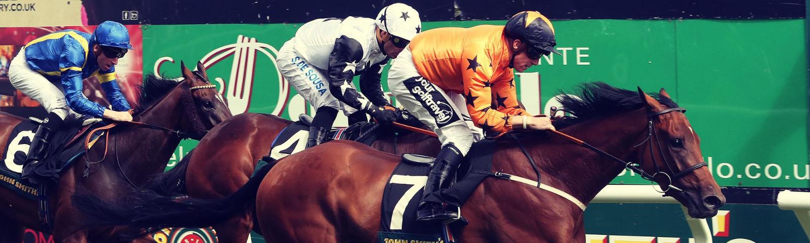 Brighton Races | Brighton Racecourse