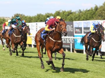 Brighton Races | Brighton Racecourse