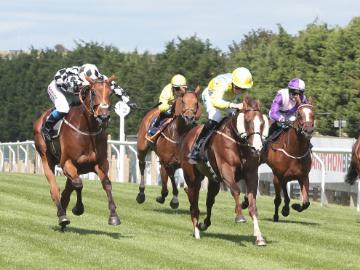 Brighton Races | Brighton Racecourse