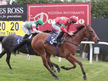 Brighton Races | Brighton Racecourse